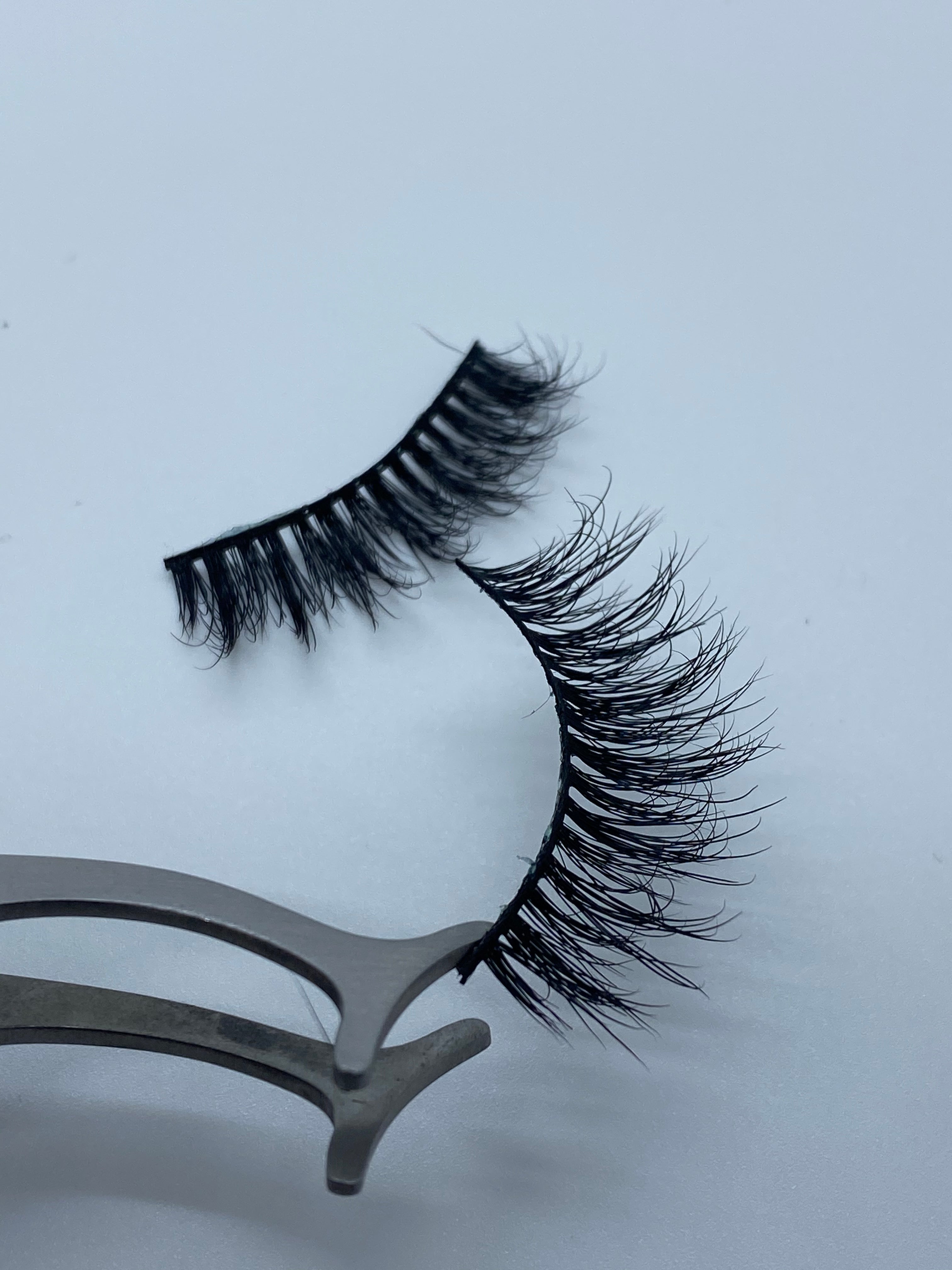 Lash Starz – Hollywood Stylez STL